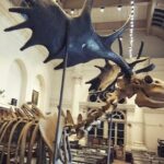 Kolkata Heritage City Tour - What the Tour Looks Like in Practice