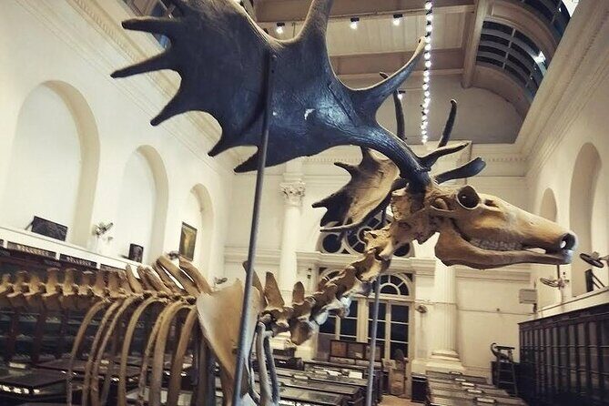 Kolkata Heritage City Tour - What the Tour Looks Like in Practice