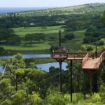 Koloa: Kauais Longest 8-Line Zipline Tour - The Scenic Highlights