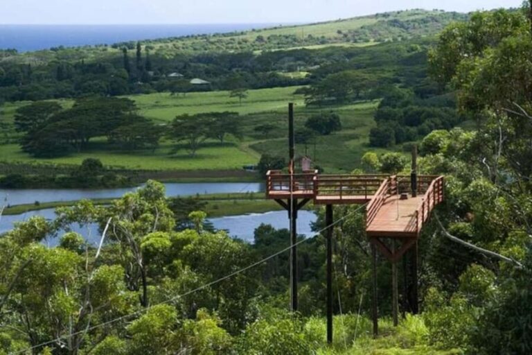 Koloa: Kauais Longest 8-Line Zipline Tour - The Scenic Highlights