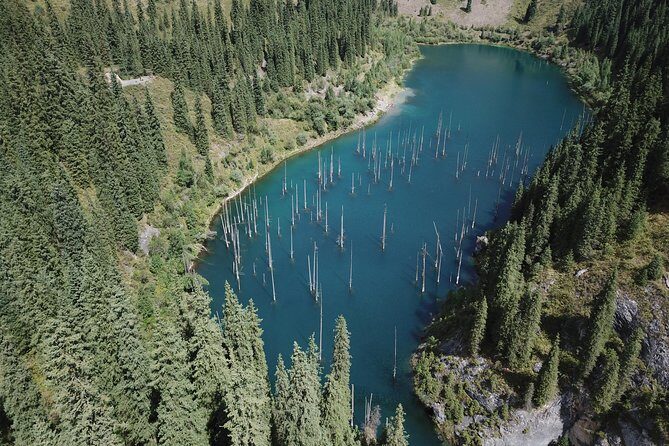 Kolsai and Kaindy lakes, via Charyn canyon. Private Day Tour from Almaty - What Travelers Say
