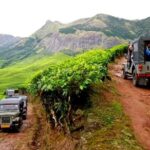 Kolukkumalai Jeep safari -tea trail and Orthodox Tea Factory visit -Private Tour - Key Points