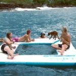 Kona Afternoon Dolphin Watch & Snorkel on the Big Isand - Seasonal Highlights: Whale Watching (December to March)