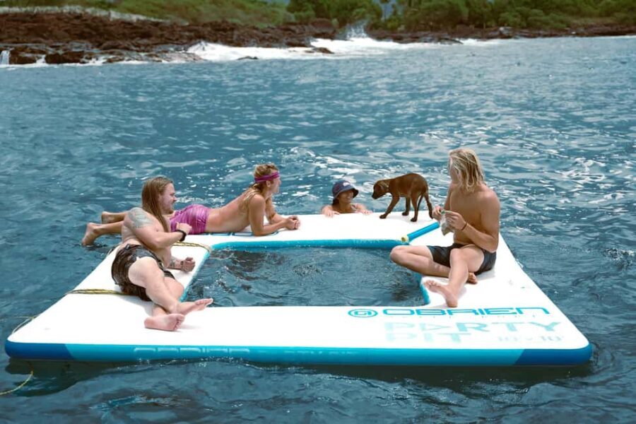 Kona Afternoon Dolphin Watch & Snorkel on the Big Isand - Seasonal Highlights: Whale Watching (December to March)