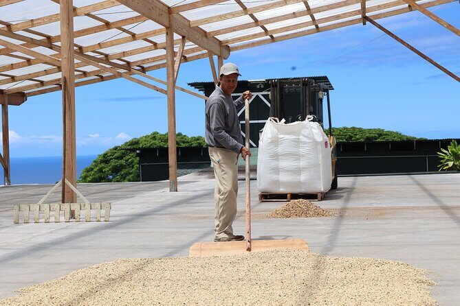 Kona Coffee Farm Tour from Tree to Tasting Room - The On-Site Milling and Processing Facilities