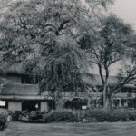 Kona Haunted Hele Ghost Tour - Who Will Love This Experience?