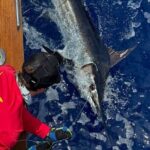 Kona Hawaii Per Person Shared Fishing with Bite Me Sportfishing - Practical Details and What You Need to Know