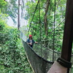 Kota Kinabalu: Poring Hot Spring, and Kinabalu Park Day Trip - A Closer Look at the Itinerary