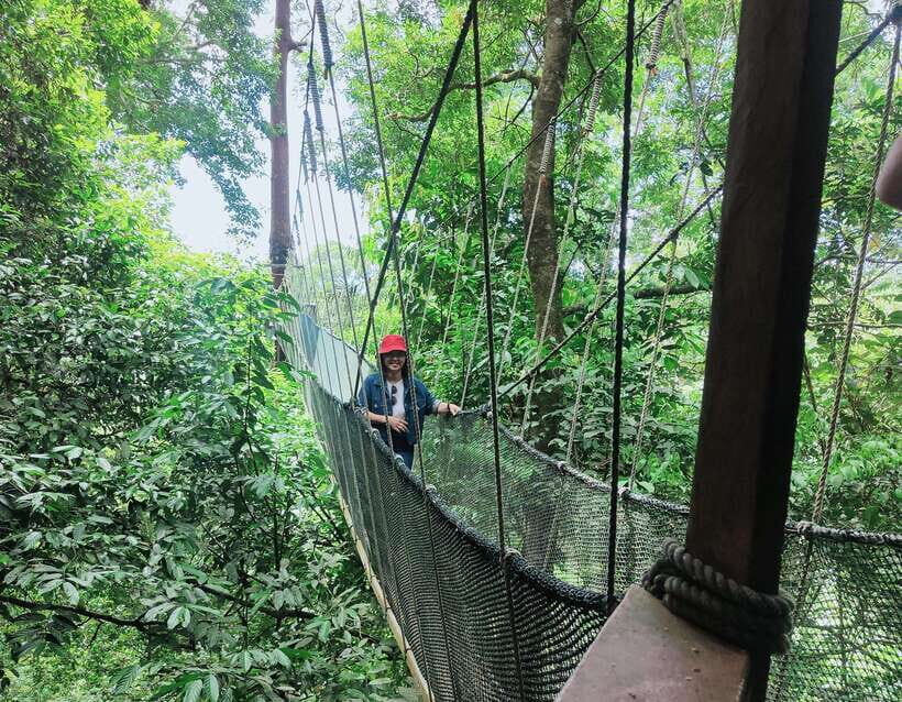 Kota Kinabalu: Poring Hot Spring, and Kinabalu Park Day Trip - A Closer Look at the Itinerary