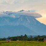 Kota Kinabalu: Private Kundasang and Poring Hot Spring Tour - The Pros and Cons