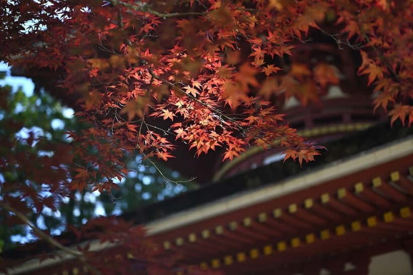 Koyasan: A Mysterious Meditation Journey - Temple Visits and Cultural Highlights