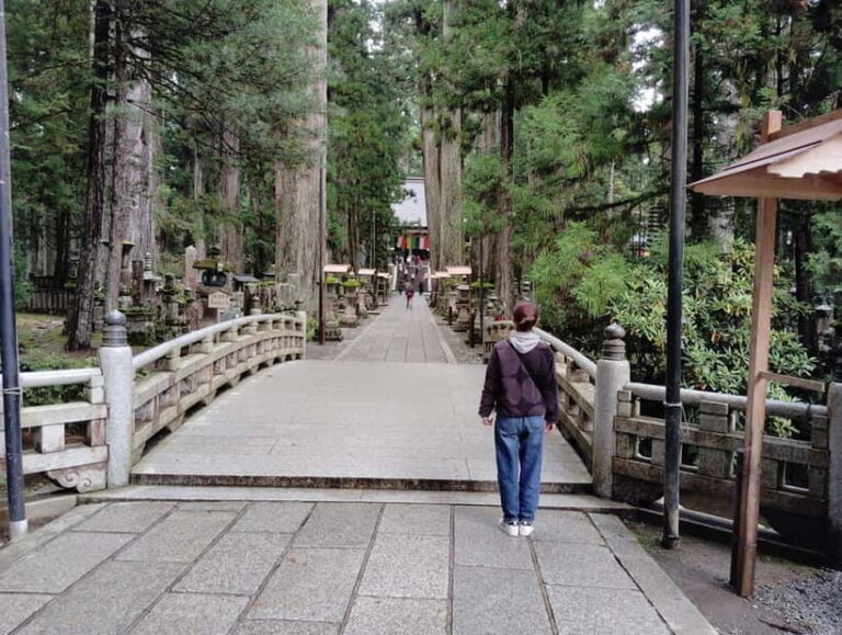Koyasan: All the Highlights of Koyasan with Special Guide 4h - What to Expect and How to Prepare