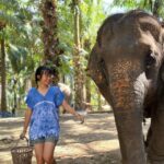 Krabi: Elephant Bathing Session at Krabi Elephant Shelter - Detailed Review of the Experience
