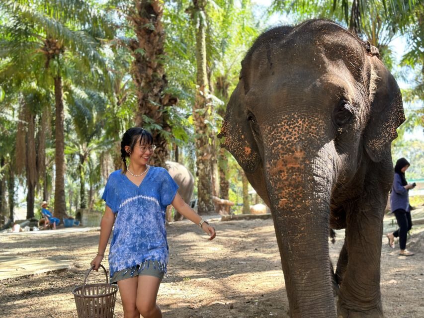 Krabi: Elephant Bathing Session at Krabi Elephant Shelter - Detailed Review of the Experience