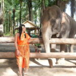 Krabi: Elephant Feeding Program with Traditional Thai Dress - A Genuine Look at the Experience