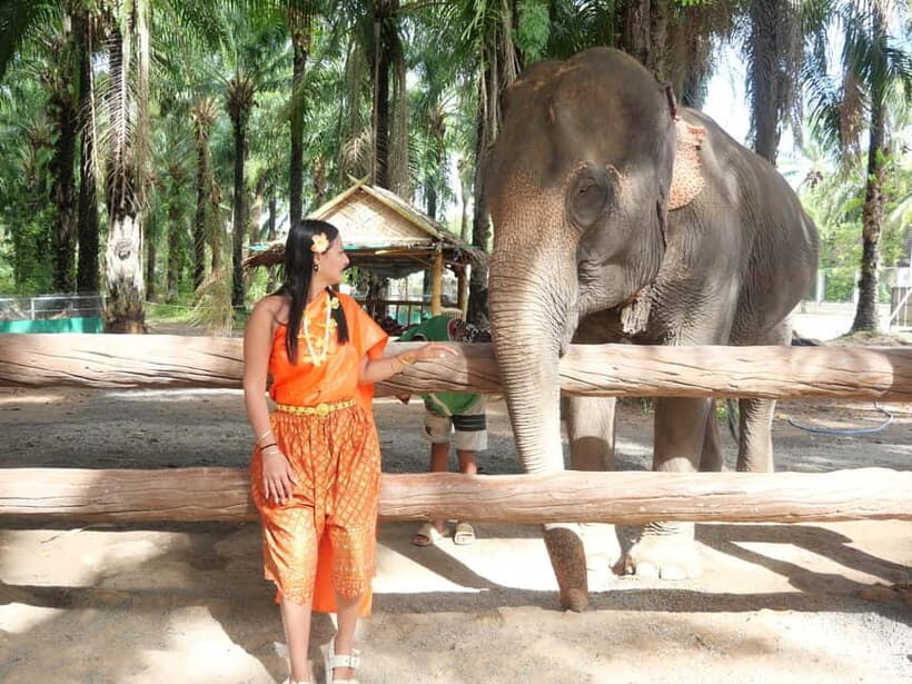 Krabi: Elephant Feeding Program with Traditional Thai Dress - A Genuine Look at the Experience