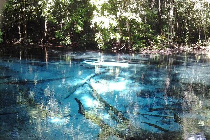 Krabi Emerald Pool, Hot Spring and Tiger Temple - Who This Tour Is Best For