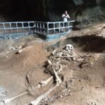 Krabi: Half Day Mangrove Boat Trip And Khao Khanap Nam Cave - What’s the Value?