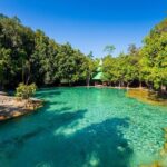 Krabi Jungle Tour (Emerald Pool, Hot Spring & Tiger Cave) - What Do Reviews Say?