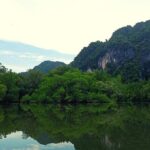 Krabi: Kayaking Tour at Ban Bor Thor Ancient Cave & Mangroves - Who Will Love This Tour?