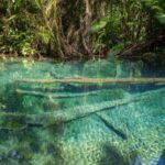 Krabi: Khlong Nam Sai Lagoon with Kayaking & Optional ATV - Practical Details and Tips
