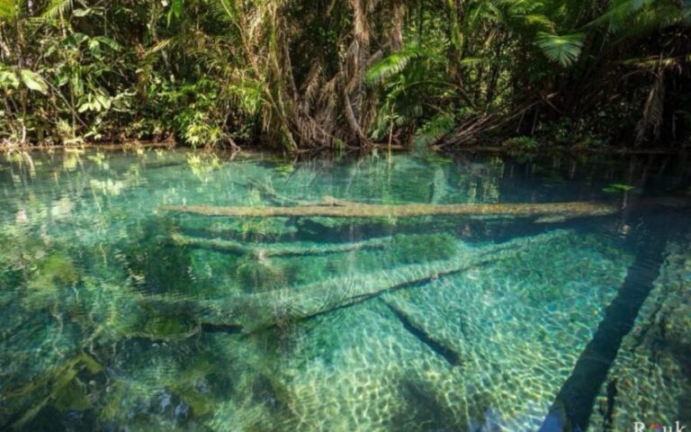Krabi: Khlong Nam Sai Lagoon with Kayaking & Optional ATV