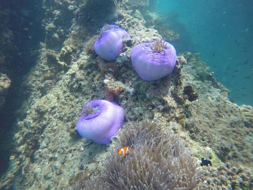 Krabi: Tropical Sunset Odyssey - 7 Islands Longtail Cruise - Snorkeling at Koh Yawasam and Koh Ma Tan Ming