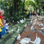 Kuala Lumpur Bird Park, Butterfly Farm And Taman Orkid Include All Entrance - Who Is This Tour For?