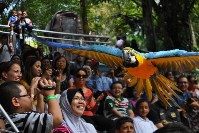Kuala Lumpur City Famous Landmarks with Bird Park Admission - How the Tour Unfolds: From City Landmarks to Bird Paradise