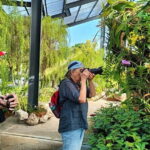 Kuala Lumpur Natural Heritage Walking Tour - The Orchid Garden: A Floral Wonderland