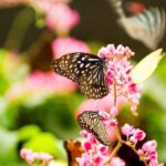 Kuala Lumpur Nature And Gardens Tour - What’s Included and What’s Not?