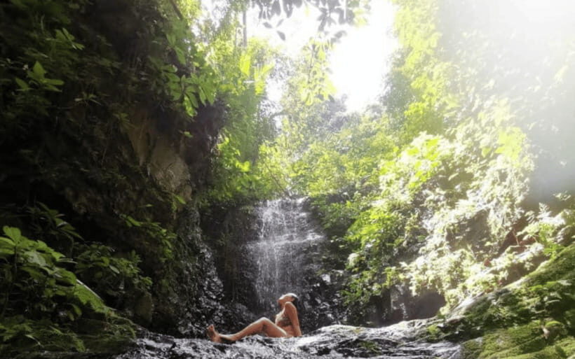 Kuala Lumpur: Taman Negara National Park Teras Waterfall - What’s Included and What to Consider