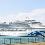 Kuala Lumpur Top 17 Attractions Cruise Excursion Tour - Detailed Breakdown of the Tour