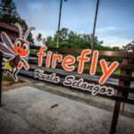 Kuala Selangor Fireflies Tour from Kuala Lumpur - The Sri Shakti Temple: An Architectural Marvel