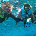 Kuata Island Marine Conservation Experience with Lunch - The Full-Day Journey to Kuata Island