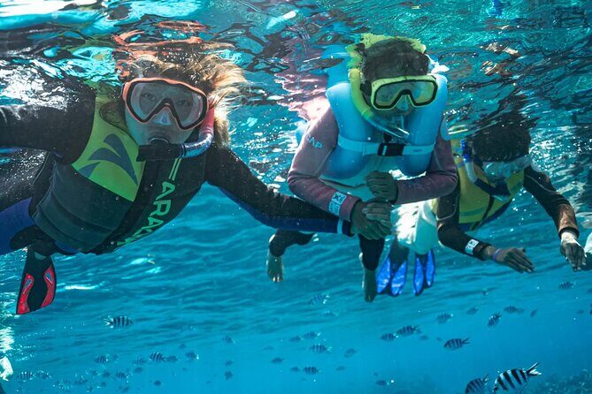 Kuata Island Marine Conservation Experience with Lunch - The Full-Day Journey to Kuata Island