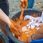 Kui Buri Wildlife Park & Community Living Beside Elephants - The Itinerary Breakdown