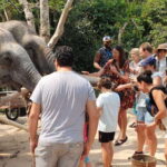 Kulen Elephant Forest and Banteay Srei Temple Tour - Who Should Consider This Tour?