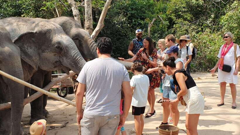 Kulen Elephant Forest and Banteay Srei Temple Tour - Who Should Consider This Tour?