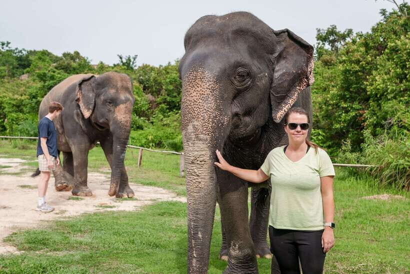 Kulen Elephant Forest Tour with Hotel Pick-up & Drop off - The Sum Up