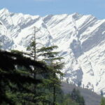 Kullu Manali Chandigarh 5 Days Private Tour From Chandigarh - Who This Tour Suits Best