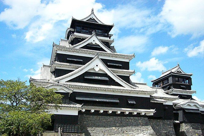 Kumamoto Full-Day Private Tour with Government-Licensed Guide - What’s Unique About This Tour?