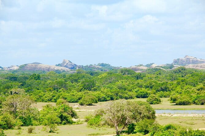 Kumana National Park Full Day Safari from Arugam Bay - Authentic Reviews & Insights