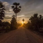 Kumana National Park Leopard Safari PRIVATE Tour - Is It Worth the Price?