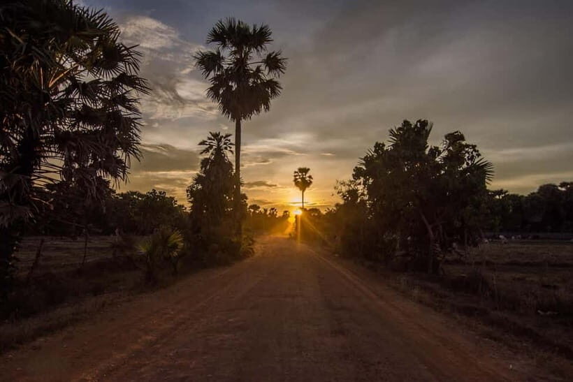 Kumana National Park Leopard Safari PRIVATE Tour - Is It Worth the Price?