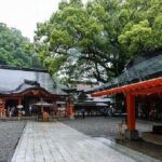 Kumanokodo 1 Day Walking Tour - Final Thoughts