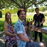 Kumeu Wine Region Shuttle from Auckland - The Experience and What You Can Expect