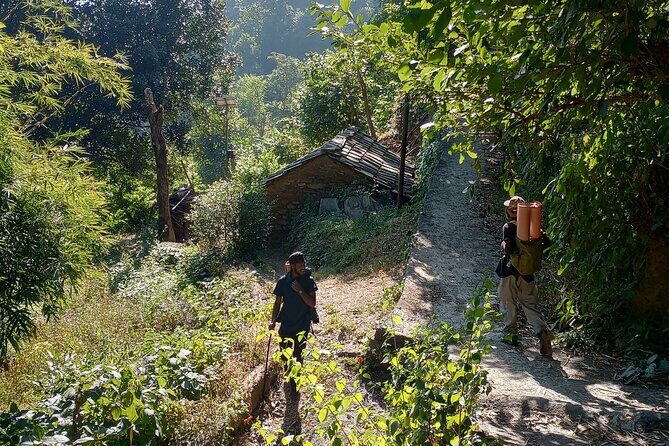 Kunjapuri Yoga Day Hike - What Travelers Say: Authentic Feedback