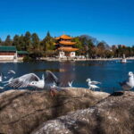 Kunming: 8-Day Yunnan Tour with Dali and Lijiang - What We Think About the Value and Experience