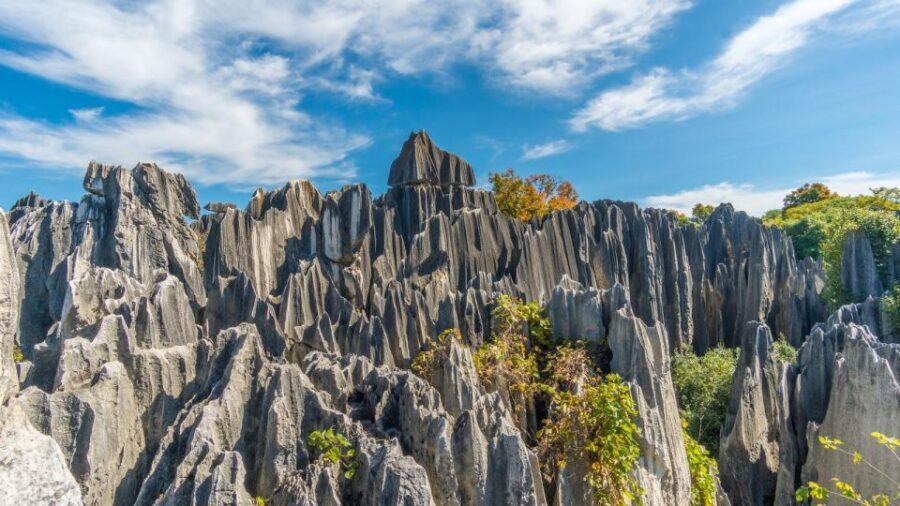 Kunming: Private Half Day Tour of Stone Forest Park w/Option - Walking Through the Stone Forest: Highlights and Impressions